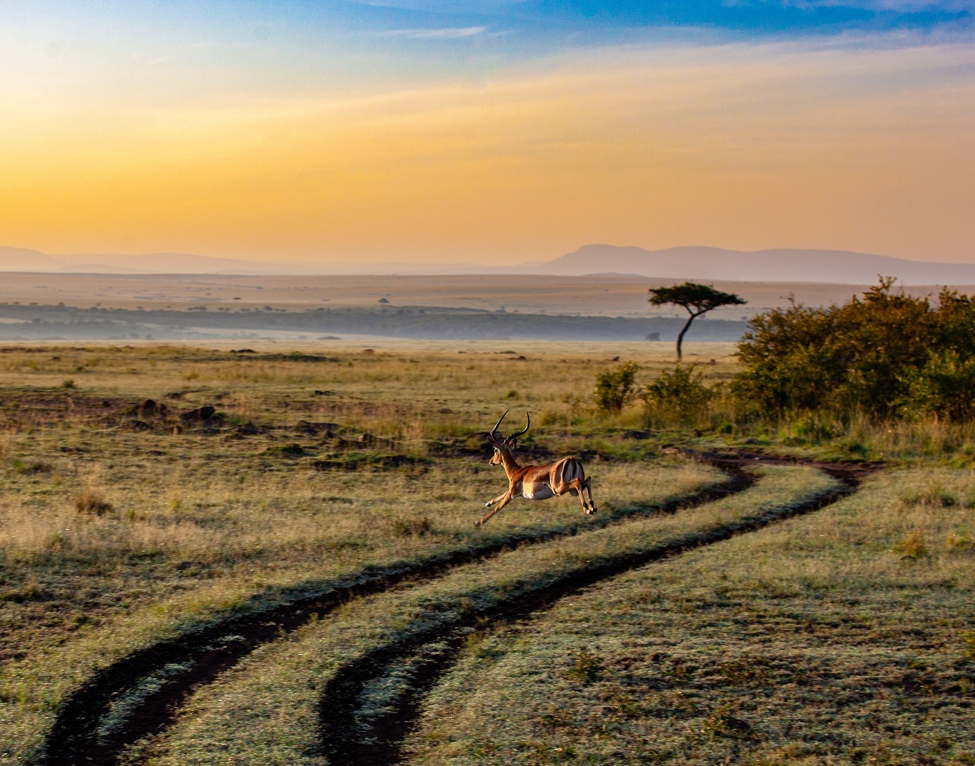 Home [phuduhudu-safaris.com]