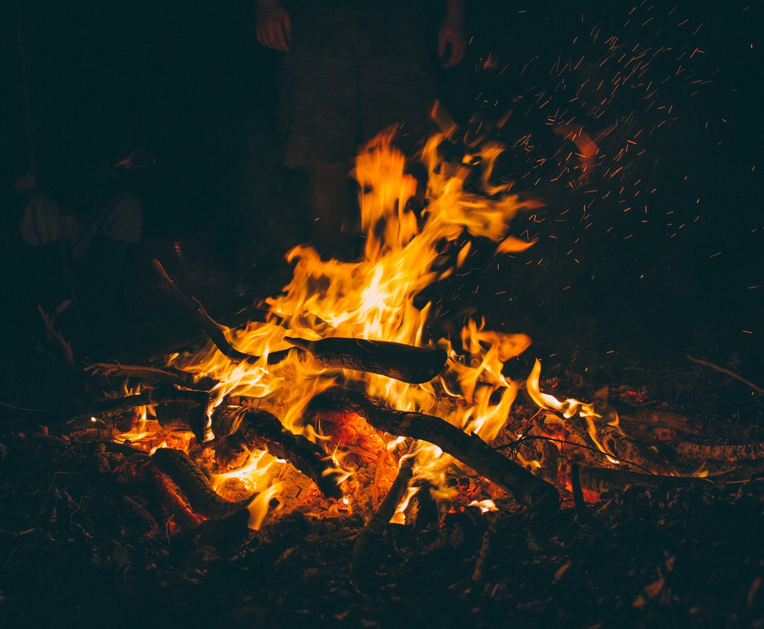 Home [phuduhudu-safaris.com]